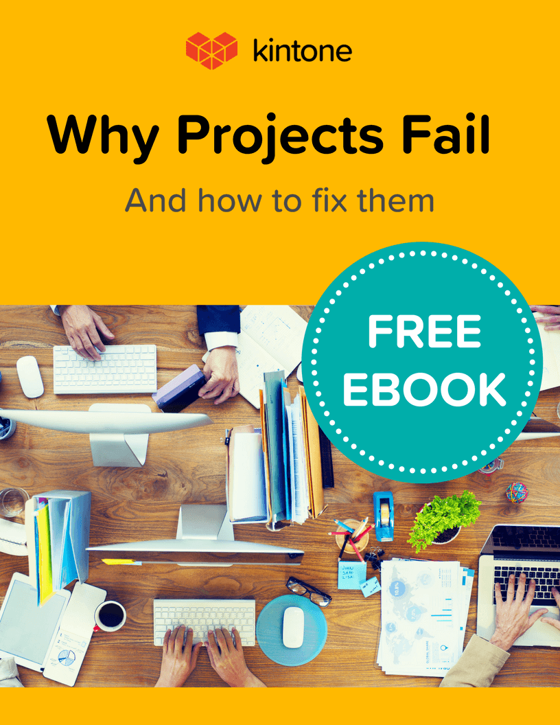 Why Projects Fail Ebook