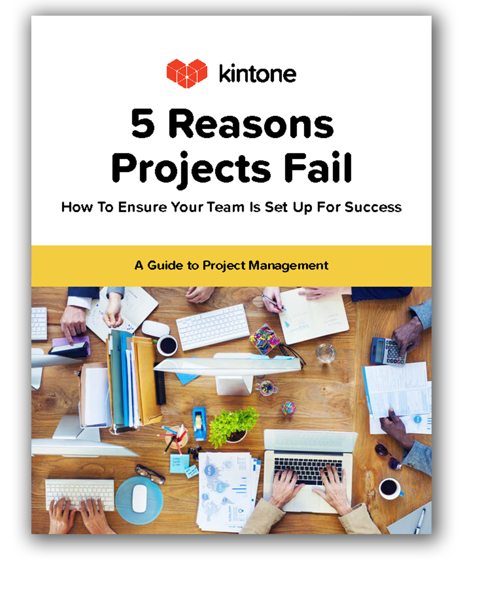 EBOOK: 5 reasons projects fail